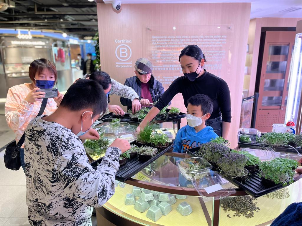 Common Farms: The macro impact brought about by microgreens - StartmeupHK